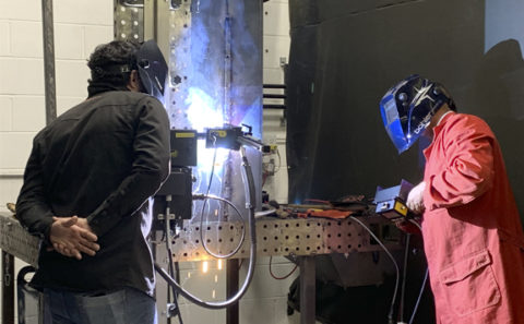 Training | Bug-O Systems